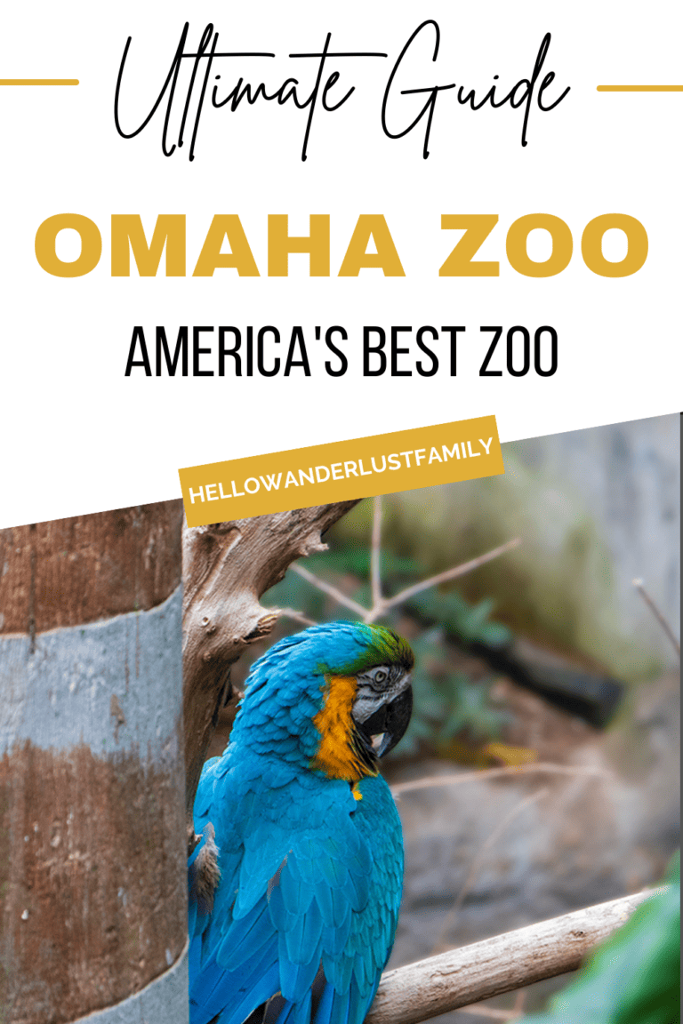 Get Wild in Omaha: A Guide to America’s Best Zoo – Omaha Zoo