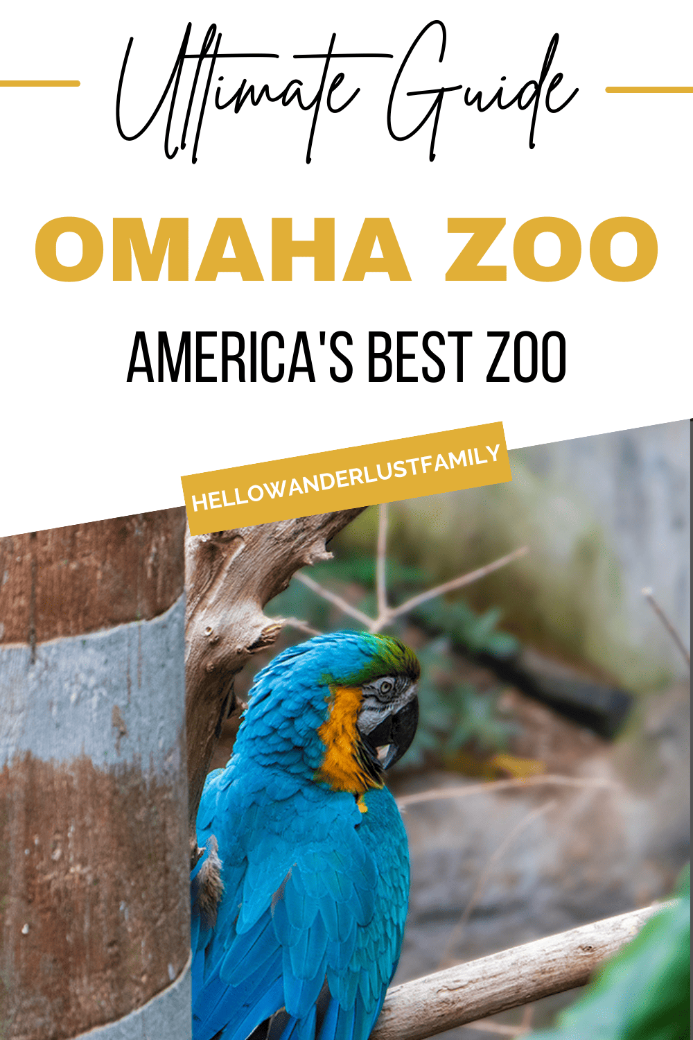 Get Wild in Omaha: A Guide to America’s Best Zoo – Omaha Zoo