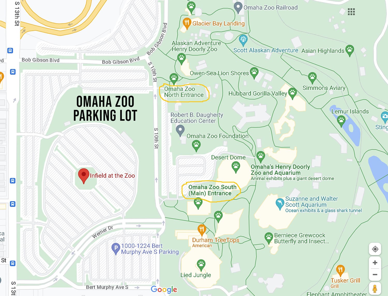 Get Wild in Omaha: A Guide to America’s Best Zoo – Omaha Zoo